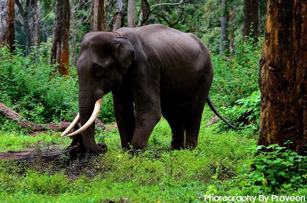 20 Must Visit Places in India – getupandgo.in
